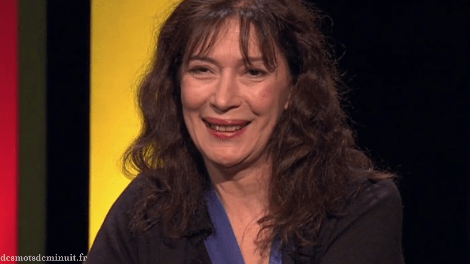 Anne Alvarro 🎭 Ali Fekih, Véronique Ovaldé 📚 Pierre-Victor Tournier 🎼 ...